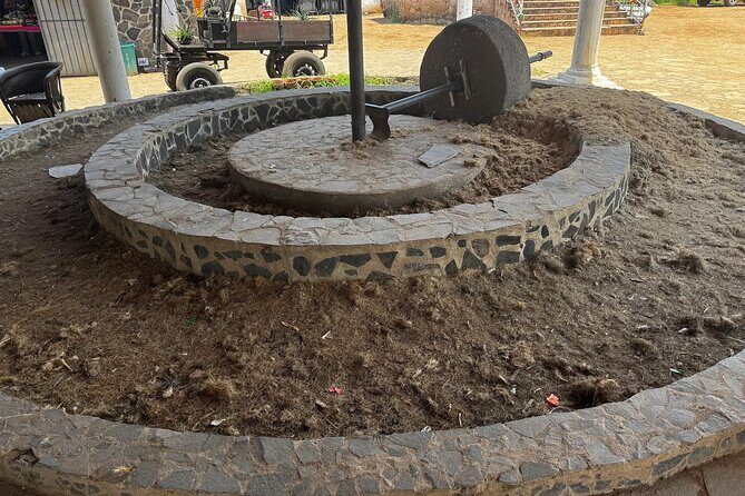 Tequila Jalisco Tour - Final Thoughts: Is it Worth It?