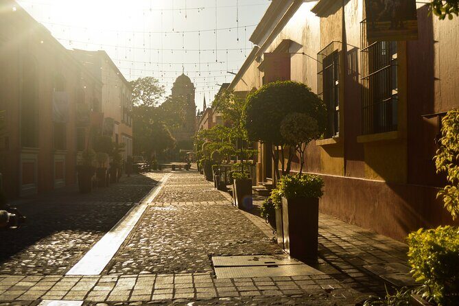 Tequila José Cuervo Tasting Guided Tour from Puerto Vallarta - Frequently Asked Questions