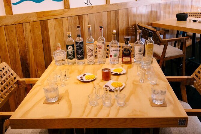 Tequila & Mezcal Tasting - Agave Masterclass In San José del Cabo - Who Will Love This Tour?