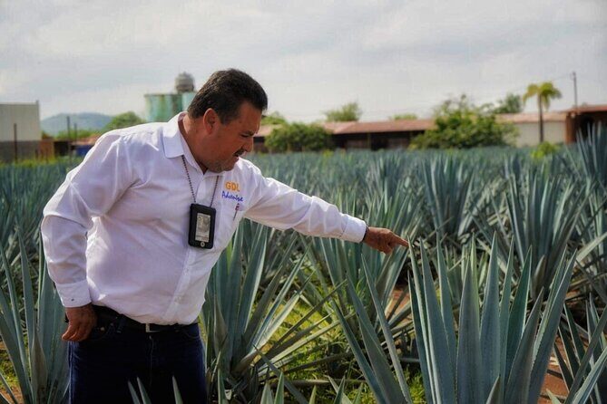 Tequila Tour - Key Points