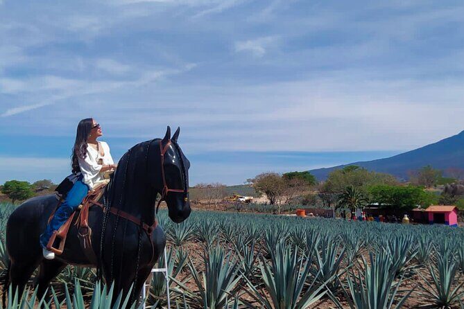 Tequila tour with tasting. - An In-Depth Look at the Tour Itinerary
