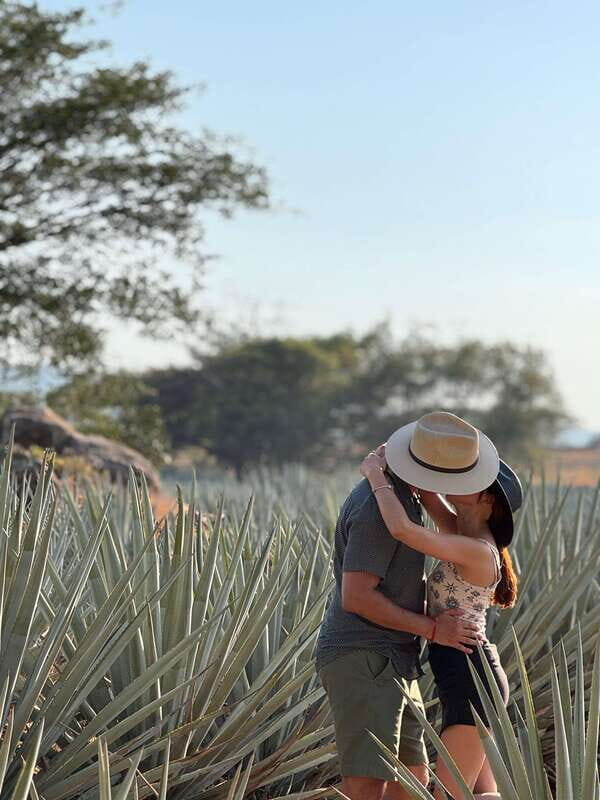 Tequila: Town and Distillery Guided Tour with Tastings - Overview and First Impressions
