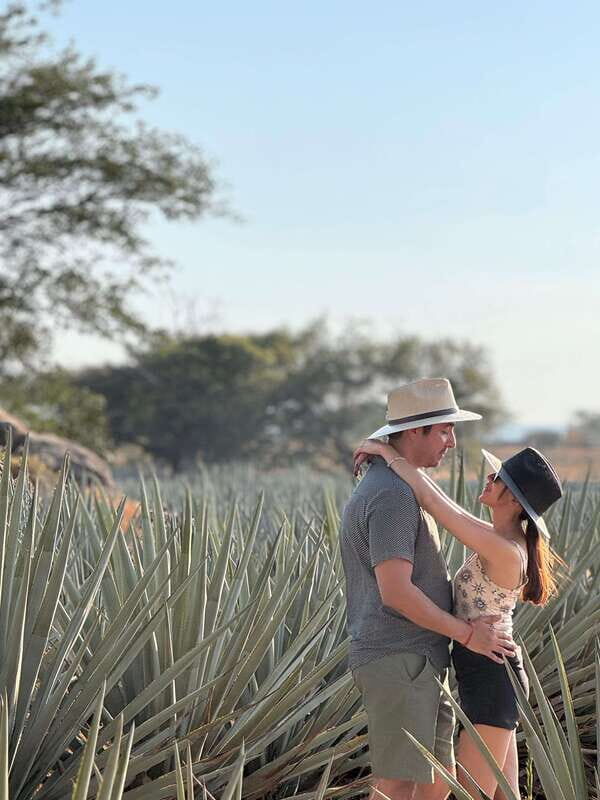Tequila: Town and Distillery Guided Tour with Tastings - Who Should Take This Tour?