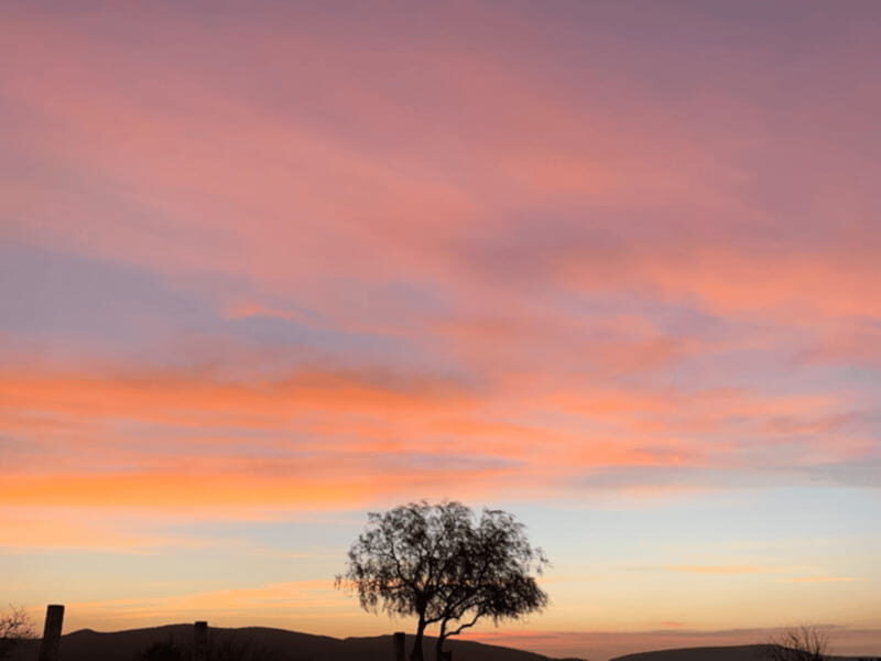 Tequisquiapan: UTV Adventure Tour with Guide - The Experience in Detail