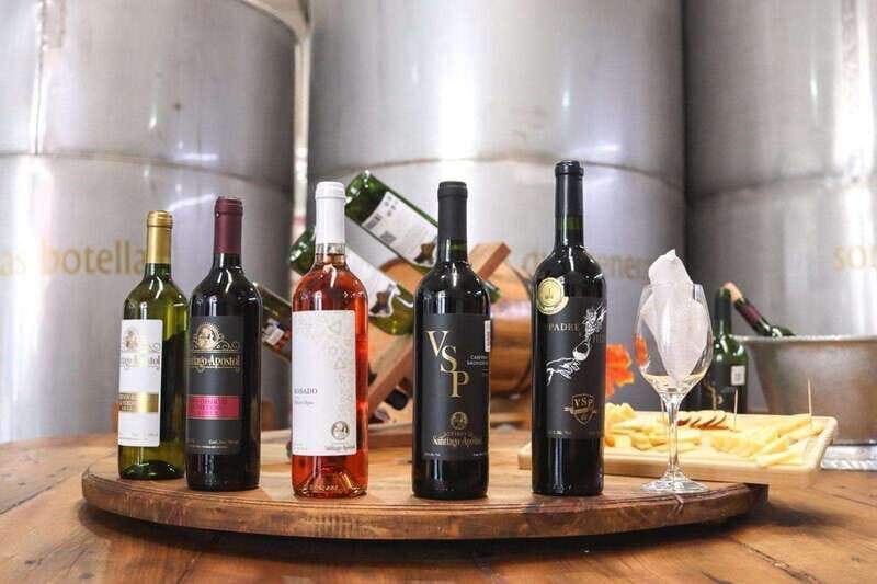 Tequisquiapan: UTV Adventure with Winery and Cheese Tasting - Practicalities and Value