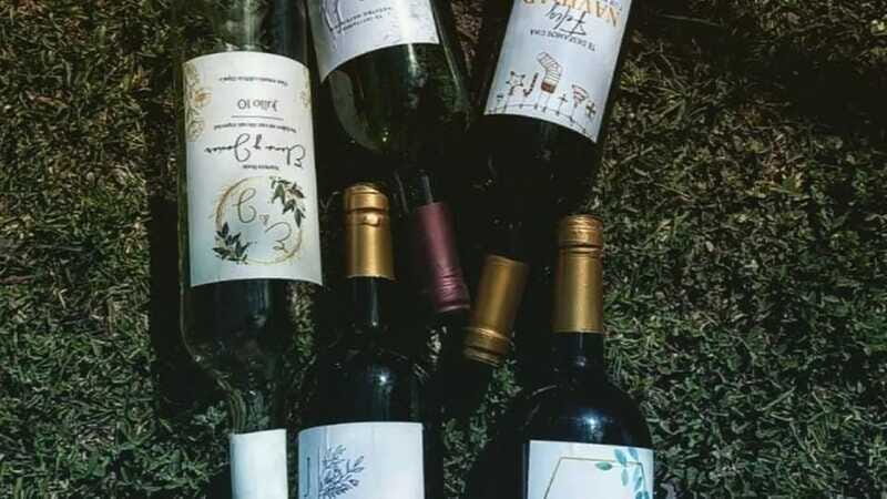 Tequisquiapan: UTV Adventure with Winery and Cheese Tasting - Who Should Consider This Tour?