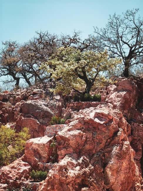Tequisquiapan: UTV Tour to Opal Mine with Art Workshop - Tequisquiapan: UTV Tour to Opal Mine with Art Workshop — An Unforgettable Mexican Adventure
