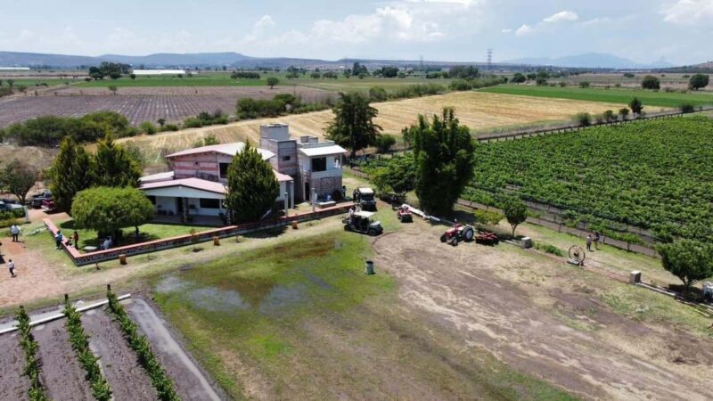 Tequisquiapan: UTV Tour with Wine Tasting and Cheese Pairing - What This Tour Means for You