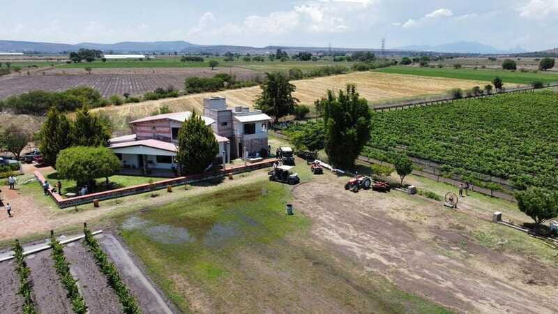 Tequisquiapan: UTV Tour with Wine Tasting and Cheese Pairing - Summary: Who Is This Tour Best For?