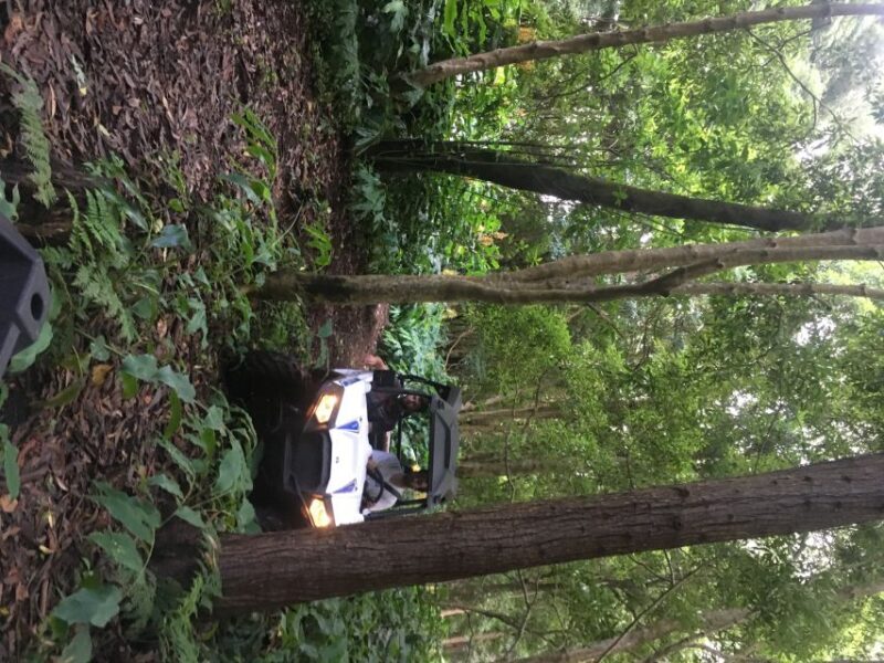 Terceira: Buggy Tour 4x4 West Side Azores Retreat - In-Depth Look at the Itinerary