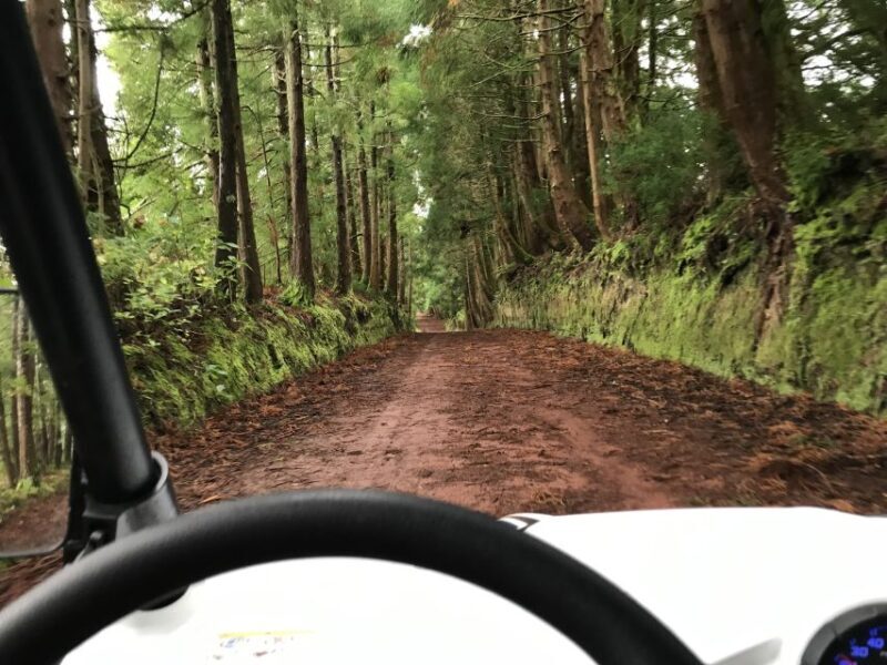 Terceira: Buggy Tour 4x4 West Side Azores Retreat - Pricing and Value