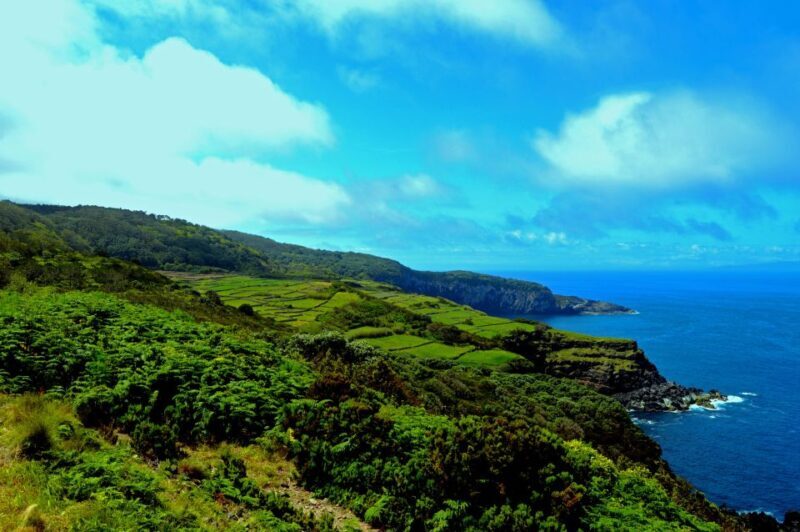 Terceira: Half-Day Island Tour with Cheese Tasting - An In-Depth Look at the Tour Itinerary