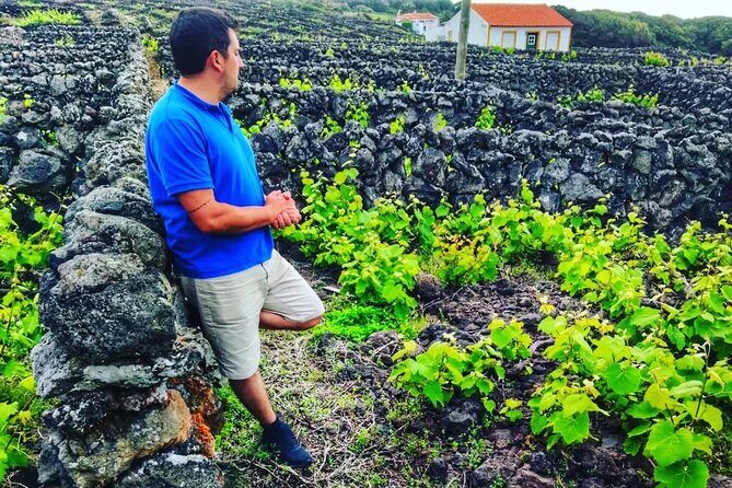 Terceira Island full day tour - Who Should Consider This Tour?  