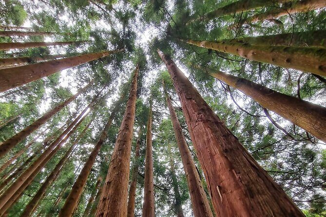 Terceira Island full day tour - FAQ  