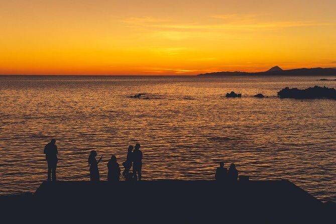 Terceira Island: Full Day Tour - Who Should Book This Tour?