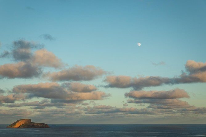 Terceira Island: Full Day Tour - Frequently Asked Questions (FAQs)