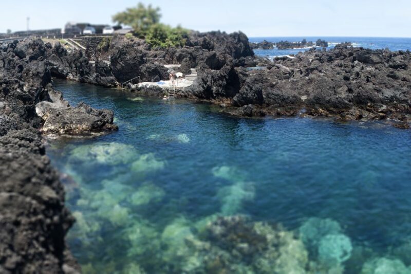 Terceira Island: Half-Day 4X4 Tour - Introduction: Why This Tour Stands Out