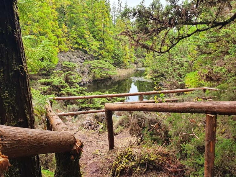 Terceira Island: Mistérios Negros Hike + Picnic + Biscoitos - An In-Depth Look at the Mistérios Negros + Biscoitos Experience