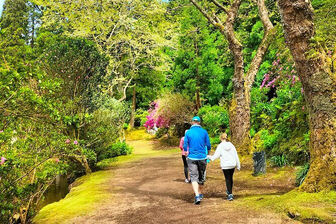 Terceira Island Private Full-Day Slow Tour with Lunch and Pickup - An In-Depth Look at the Tour Experience