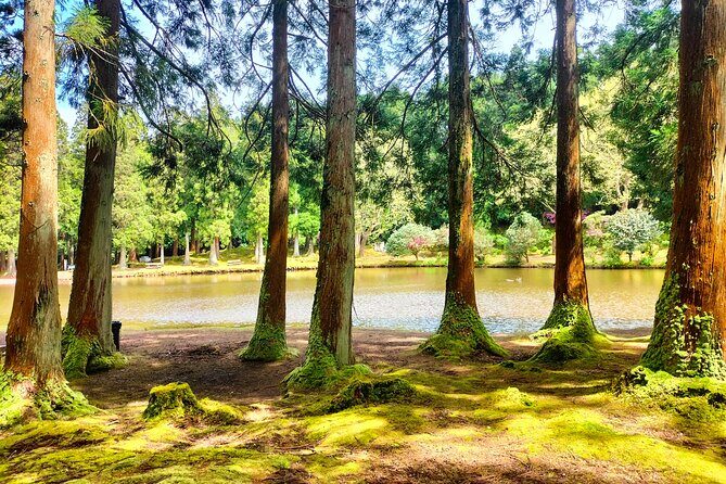 Terceira Island Private Full-Day Slow Tour with Lunch and Pickup - Why This Tour Offers Great Value