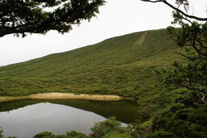 Terceira Island: Walking Trails Hiking Tour - Practical Details and Value
