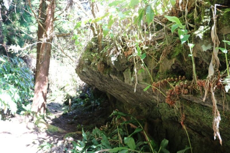 Terceira Island: Walking Trails Hiking Tour - Final Thoughts