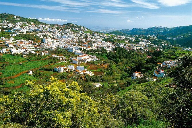 Teror and San Mateo Sunday Market Tour - In-Depth Look at the Tour Experience