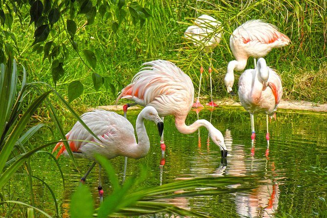 Terra Natura Benidorm Entrance Ticket - An In-Depth Look at the Park’s Zones