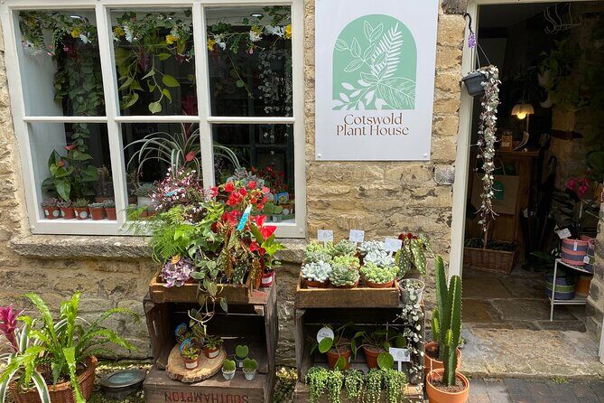 Terrarium Making Experience in Cirencester - What Is the Terrarium Making Experience?