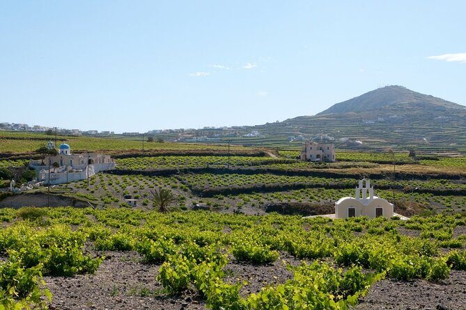 Terroir Santorini  Volcanic Heritage & Wine Experience - The Itinerary in Detail