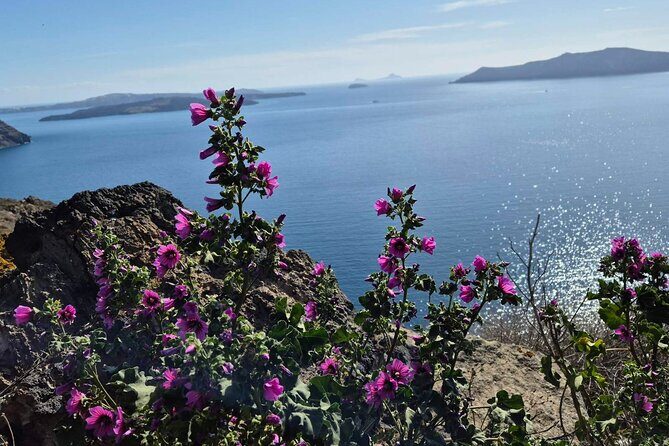 Terroir Santorini  Volcanic Heritage & Wine Experience - FAQ