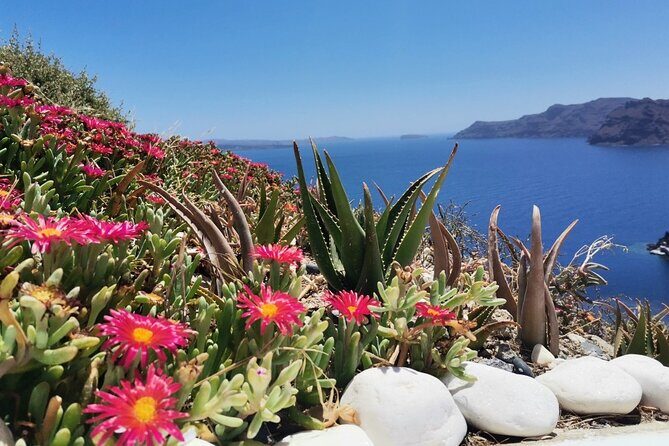Terroir Santorini  Volcanic Heritage & Wine Experience - Final Verdict