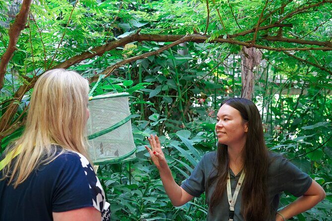 Texas Discovery Gardens General Admission - FAQs  