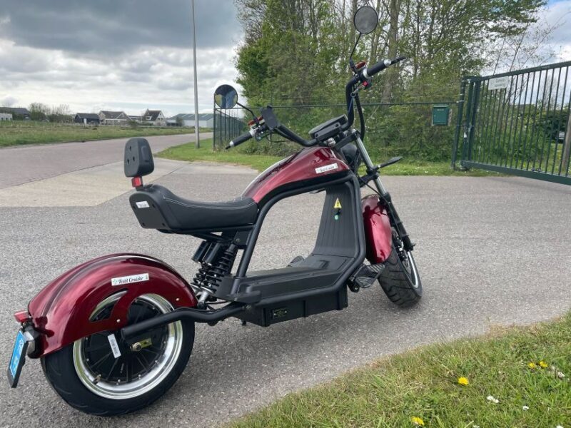 Texel: Explore Texel with a Café Cruiser E-scooter - Key Points