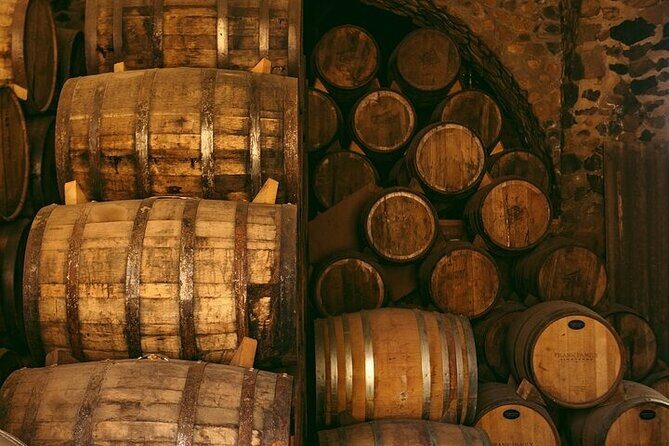 The Agave Experience Tequila Tour in Jalisco - A Detailed Look at the Tour