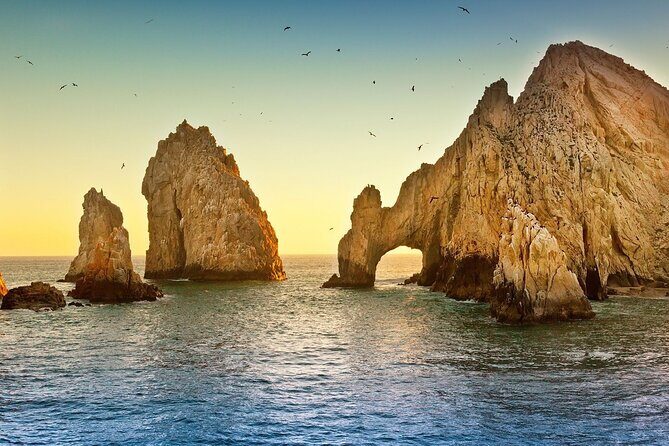 The Arch of Los Cabos Glass-bottom boat tour - Underwater Views and Marine Biodiversity