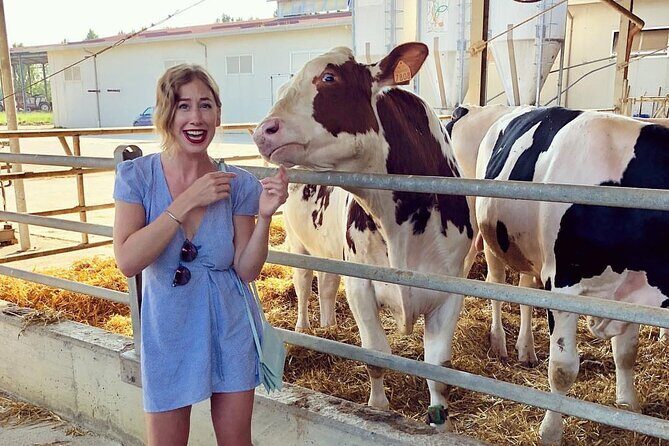 The art of Parmigiano Reggiano and real Balsamic vinegar - A Closer Look at the Itinerary