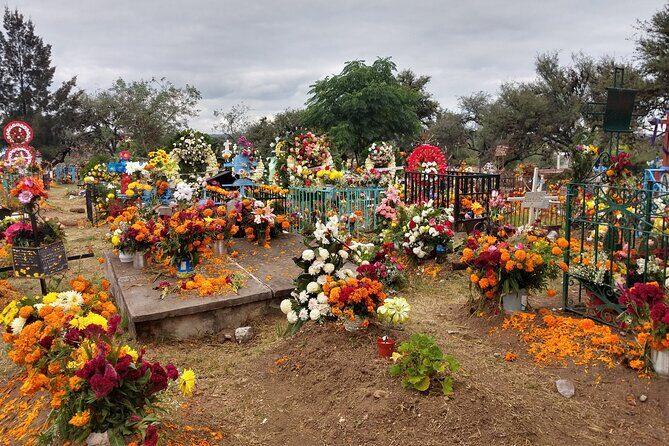 The authentic tour of the day of the dead in San Miguel d Allende - What to Expect from the Tour