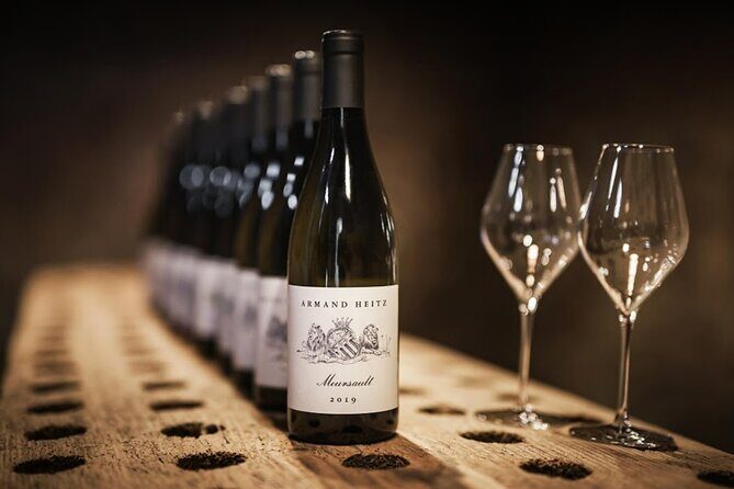 The Beautiful Escape, The Cellar Armand Heitz - Introduction