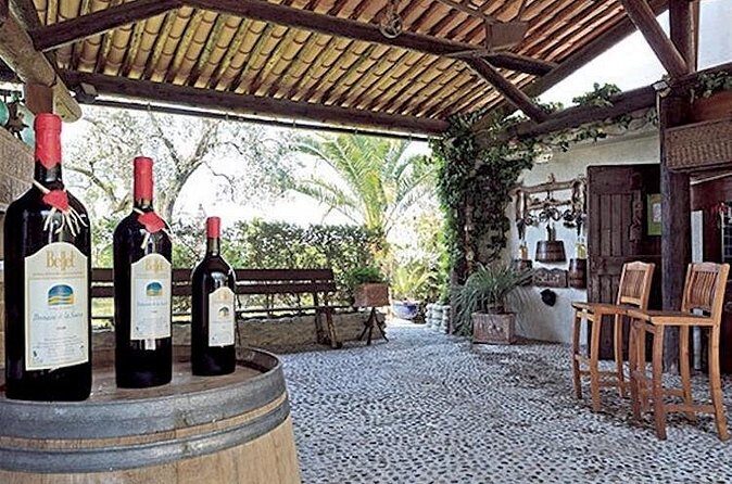 the Bellet wine tasting - Final Words