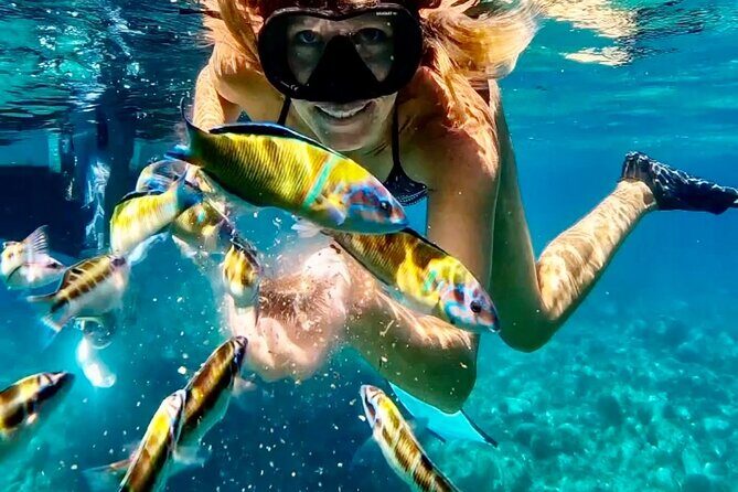 The best Boat Tour from Tropea to CapoVaticano, max 12 passengers - FAQs