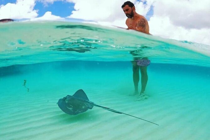 The Best Cozumel Snorkeling Tour Palancar, Colombia and El Cielo Reefs - Final Thoughts