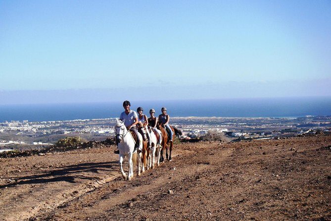 The Best Horse Riding Experience in Gran Canaria (1 hour) - Why This Tour Works Well for Certain Travelers
