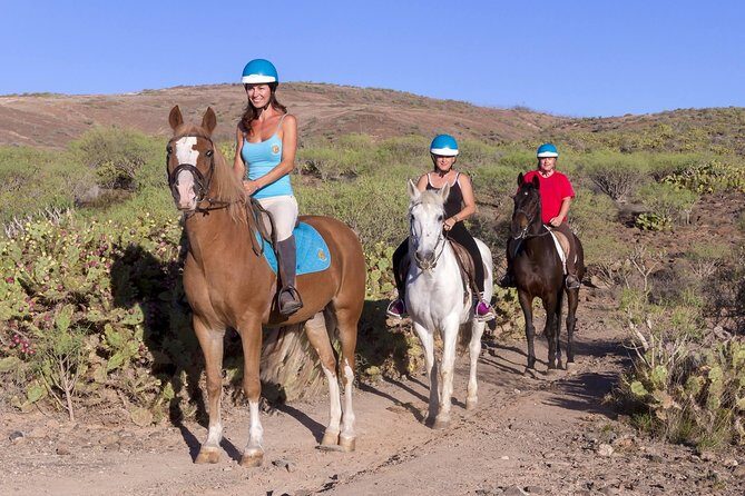 The Best Horse Riding Experience in Gran Canaria (2 hours) - Key Points