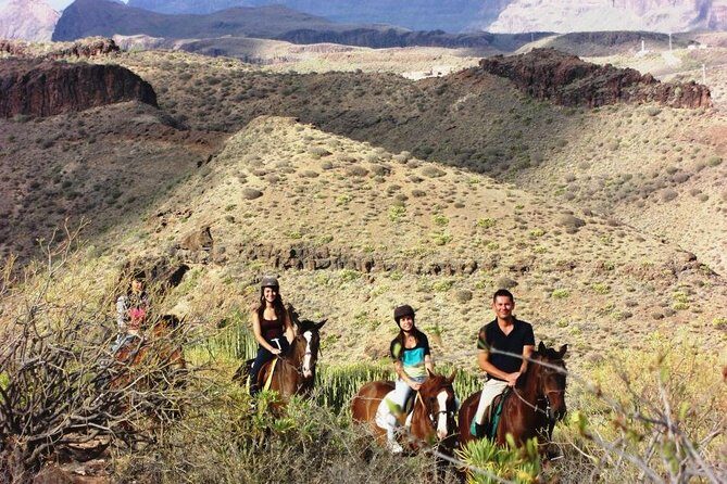 The Best Horse Riding Experience in Gran Canaria (2 hours) - Why the Price Reflects Good Value