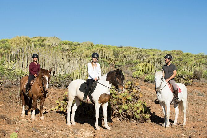 The Best Horse Riding Experience in Gran Canaria (2 hours) - FAQs
