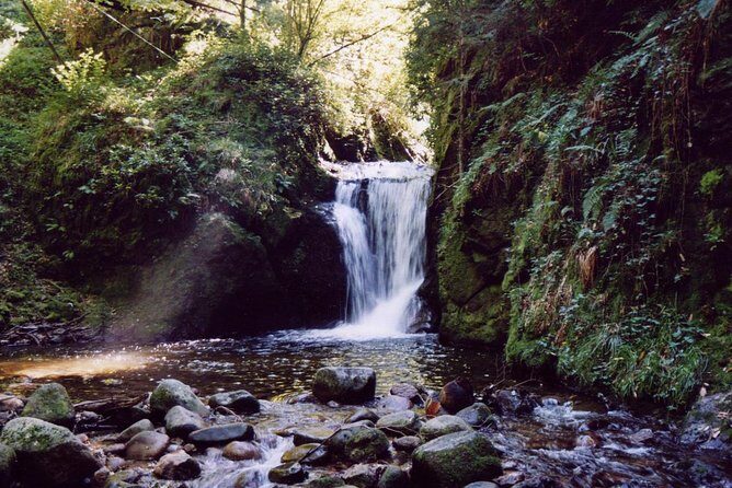 The best in Baden-Baden surroundings and Black Forest. Start from Baden-Baden - Final Thoughts