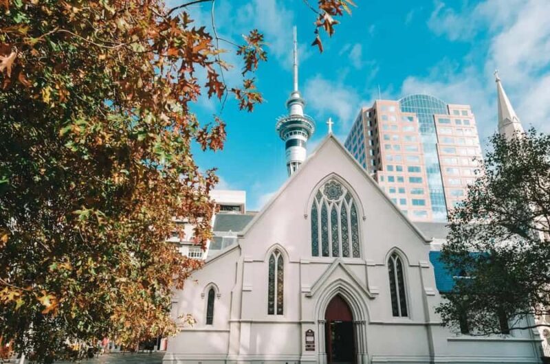 The Best of Auckland Private Walking Tour - Who Should Consider This Tour?