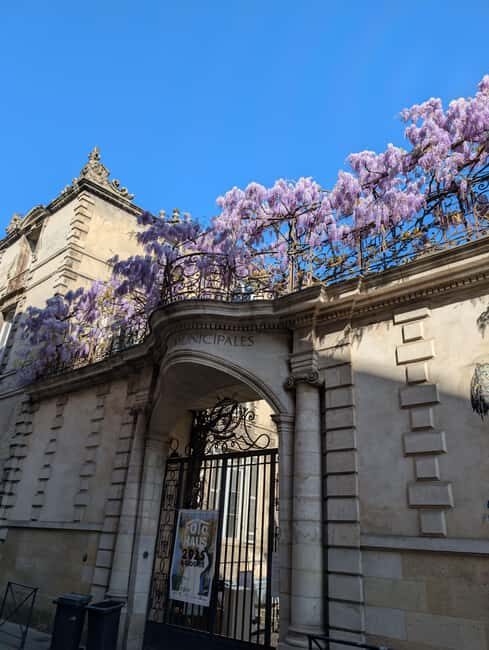 The Best of Bordeaux Walking Tour + 1 Glass of Wine - A Walk Through Bordeaux’s Top Sights
