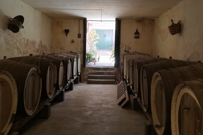 The best of Gran Canaria: 4 Hours Private Cruise Tour - The Value of This Tour